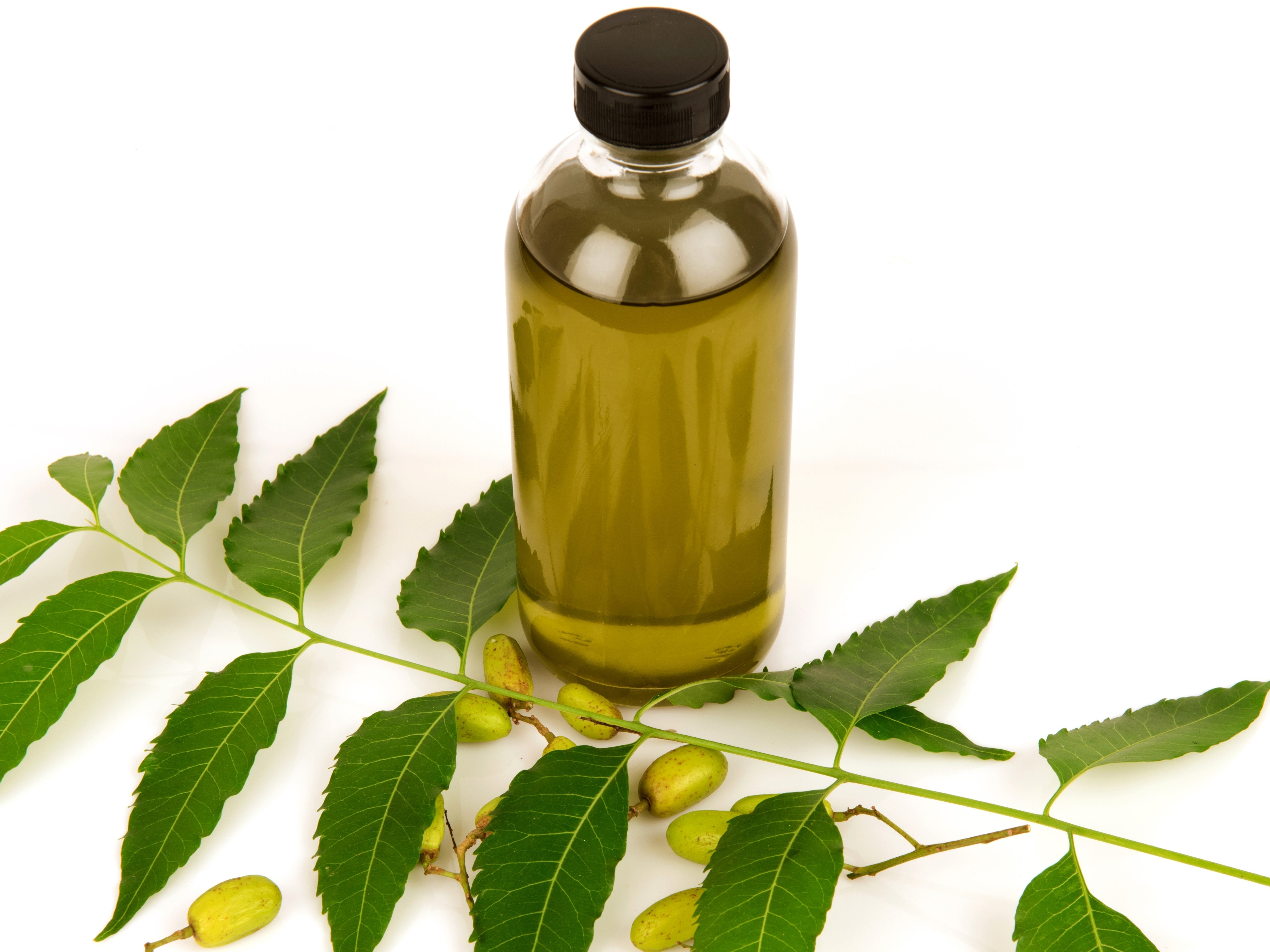 Productos a base de Aceite de Neem – Suryaneem
